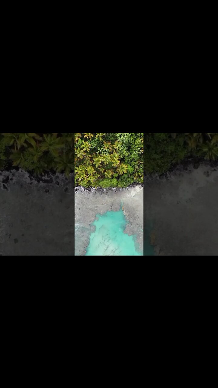 Beautiful Natural View