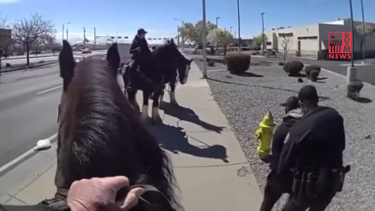 Police Chase Suspected Shoplifter On Horseback In Albuquerque New Mexico
