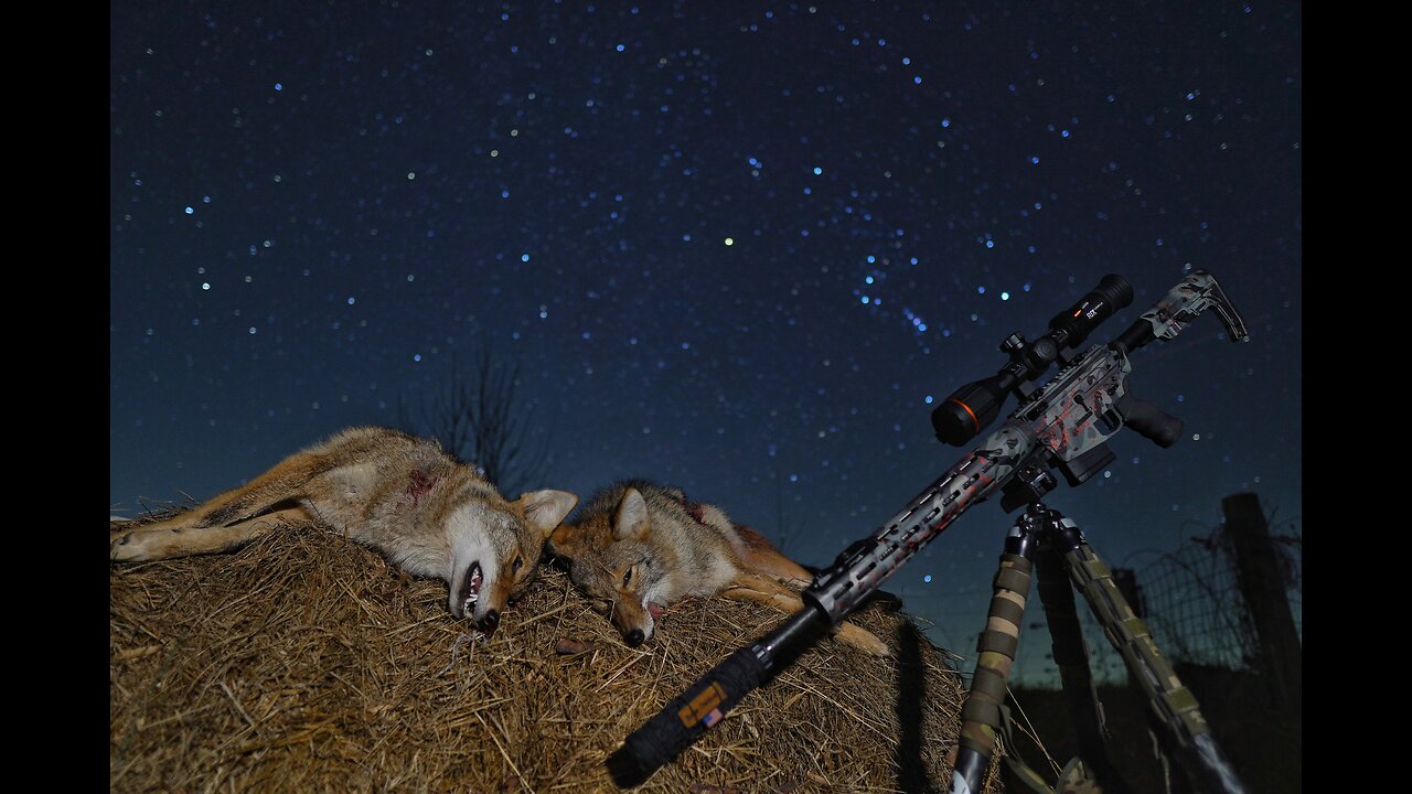 243 AR10 Rifle Overview | Coyote Hunting Rifle