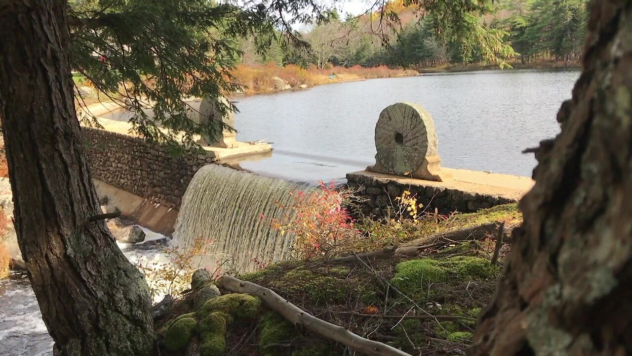 Tom talks to Zac Amico