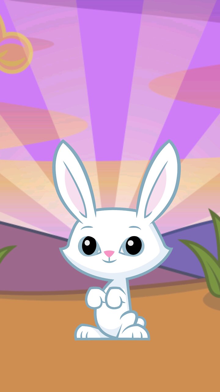 Ricky The Rabbit | Fact