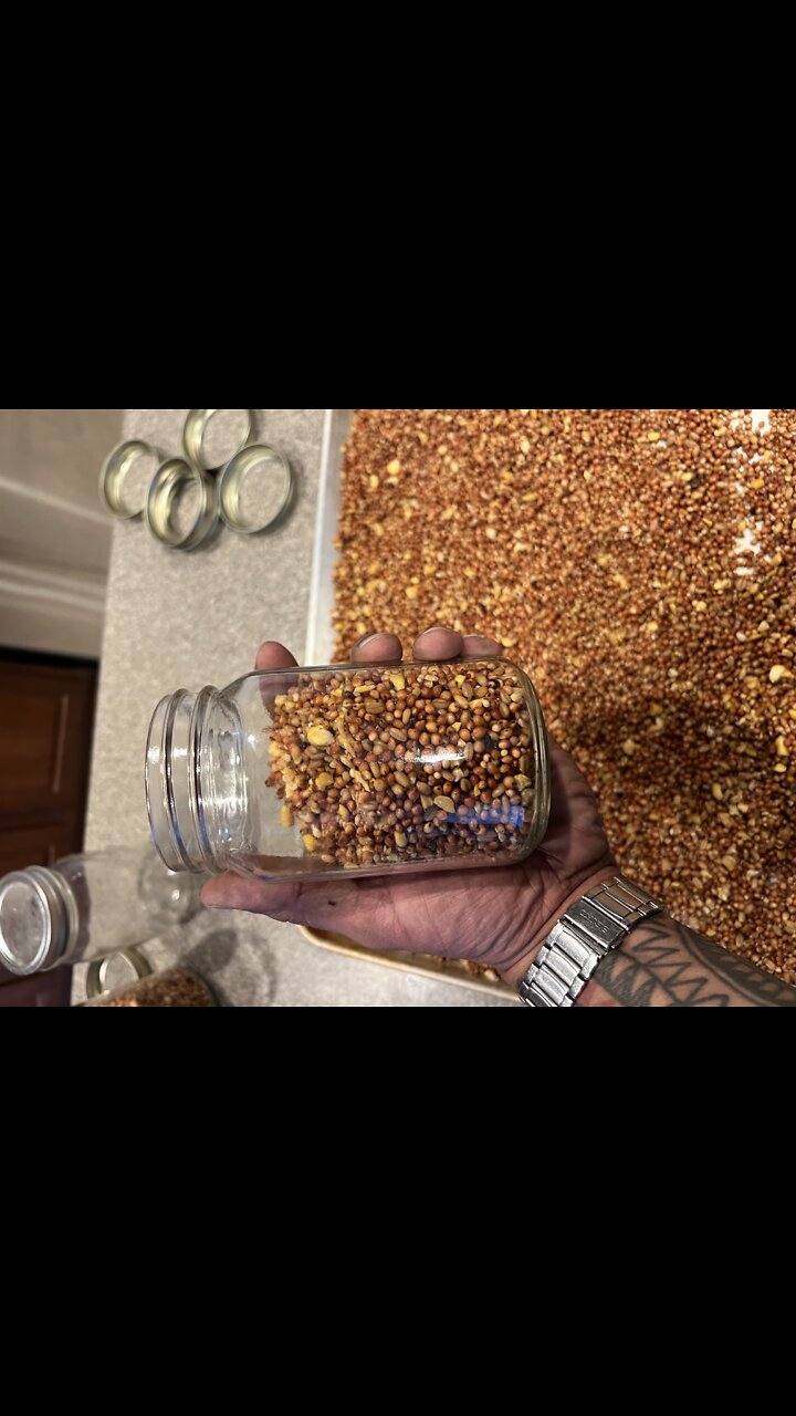 How to make grain spawn jars with birdseed. 1st step in psilocybin ...