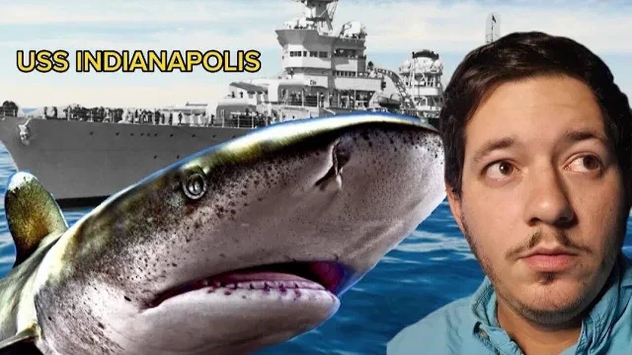 The Most Terrifying Shark Attack in History: The Sinking of the USS ...