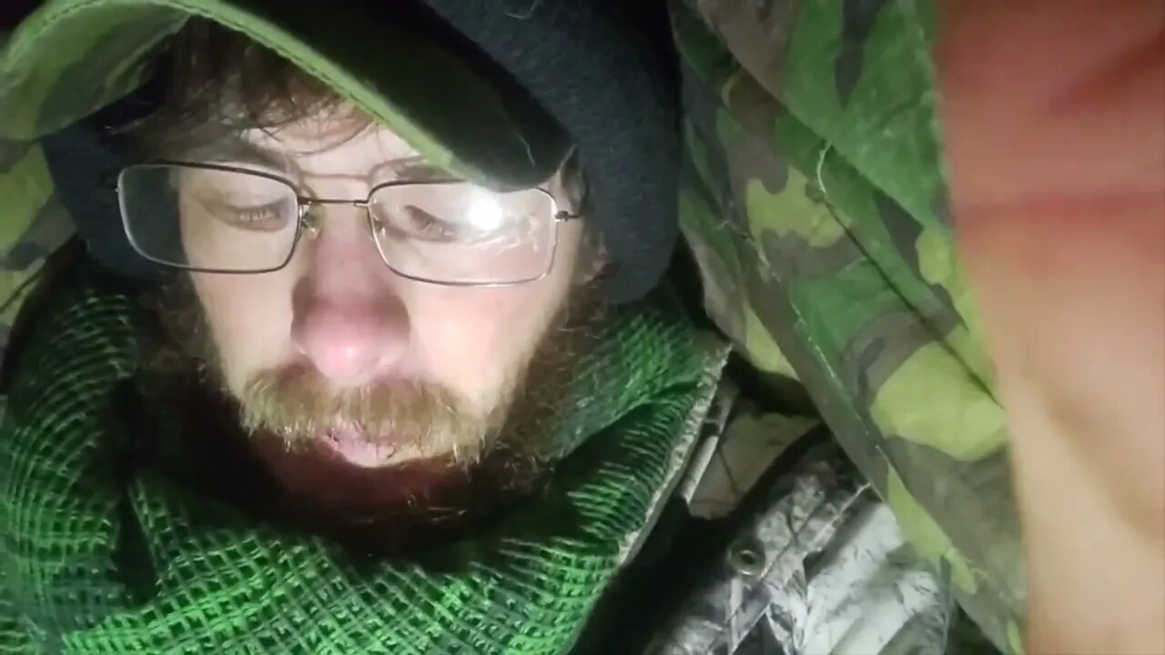 turtle mode, activated