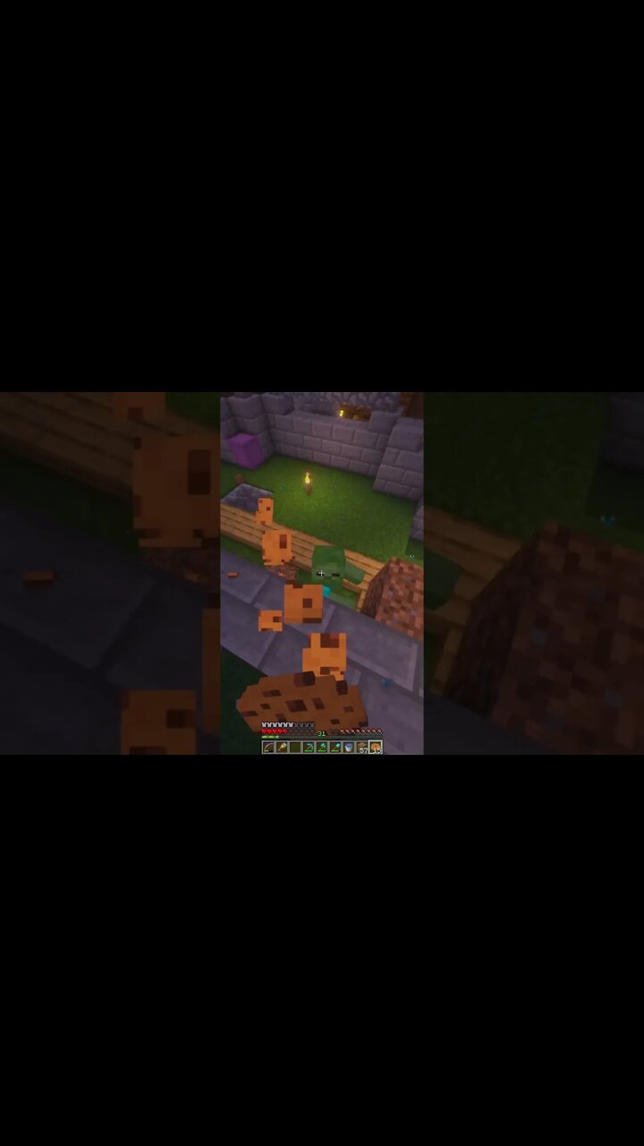 Minecraft 1.19 Server New Shaders & Mods Survival Multiplayer Java SMP ...