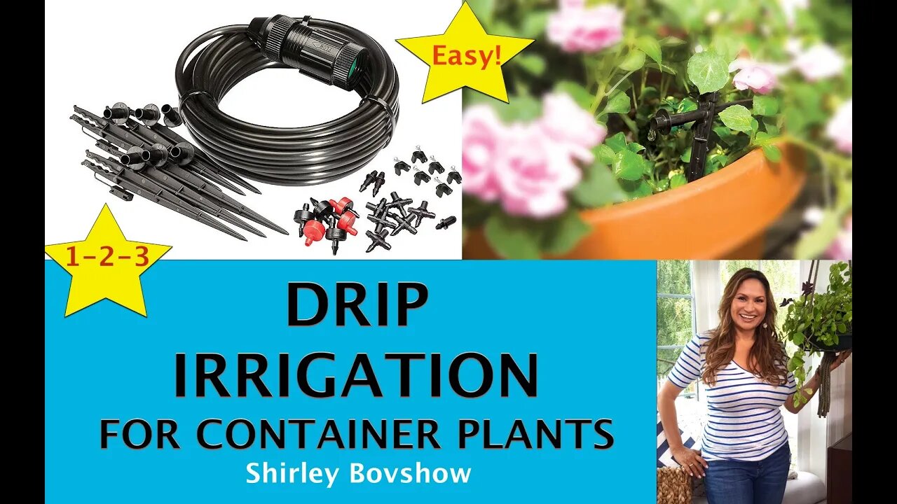 DRIP IRRIGATION! 🚰 Install a Drip Irrigation System to Container Plants ...