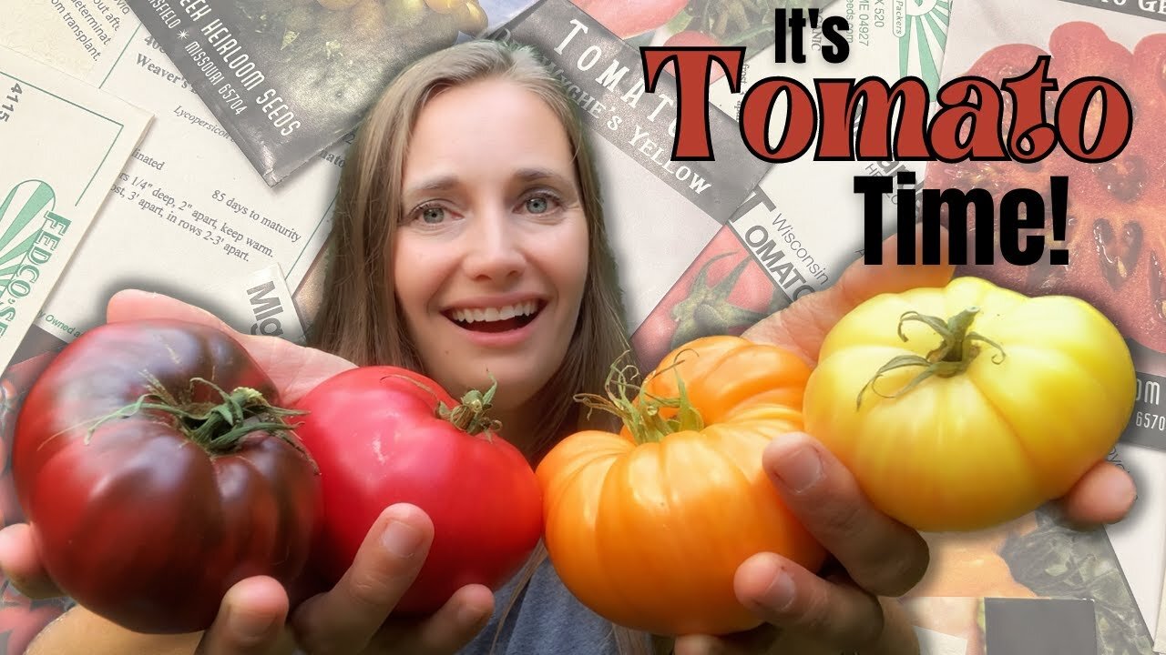 Tomato Varieties! What Am I Growing in 2023?