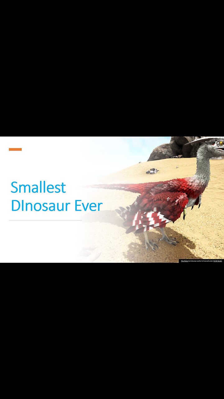 The Smallest Dinosaur ever Existed #shorts #rumble