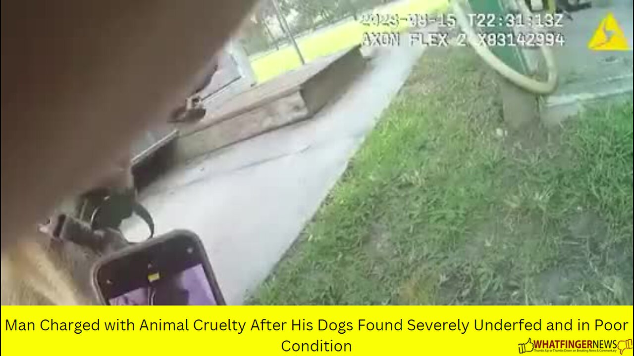 Man Charged with Animal Cruelty After His Dogs Found Severely Underfed ...