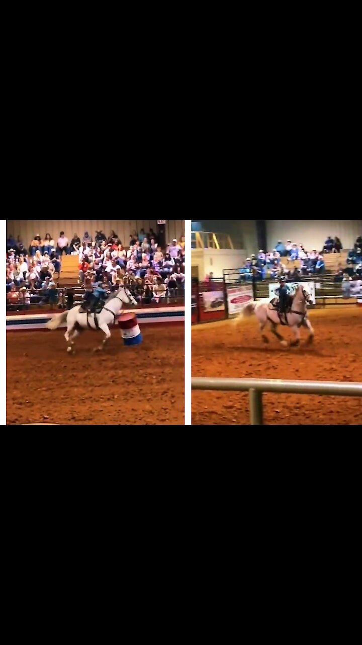 The smallest horse rider I've ever seen