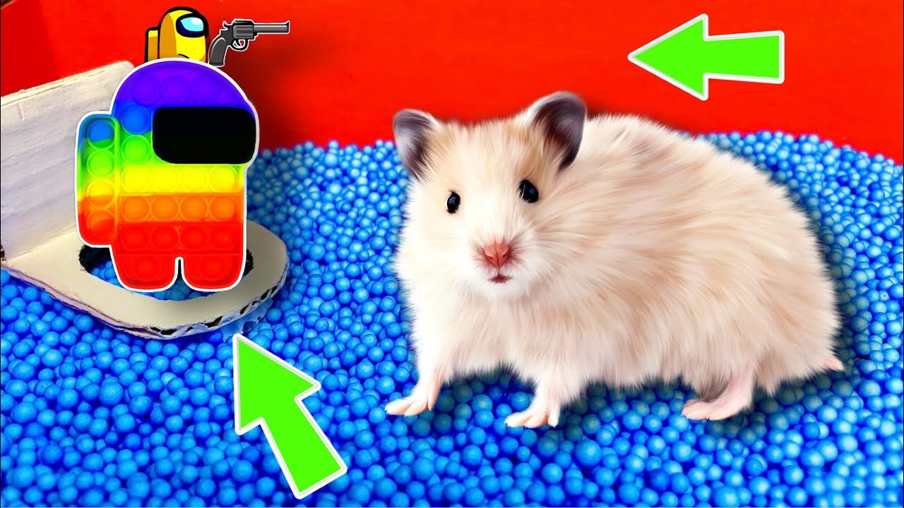 Hamster Escape: Among Us Maze - Cute Hamster pets Maze #hamsterescape # ...