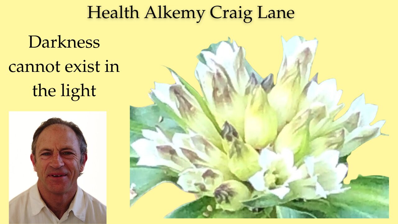 Craig Lane Health Alkemy - Road Signs of Life and Impeccability