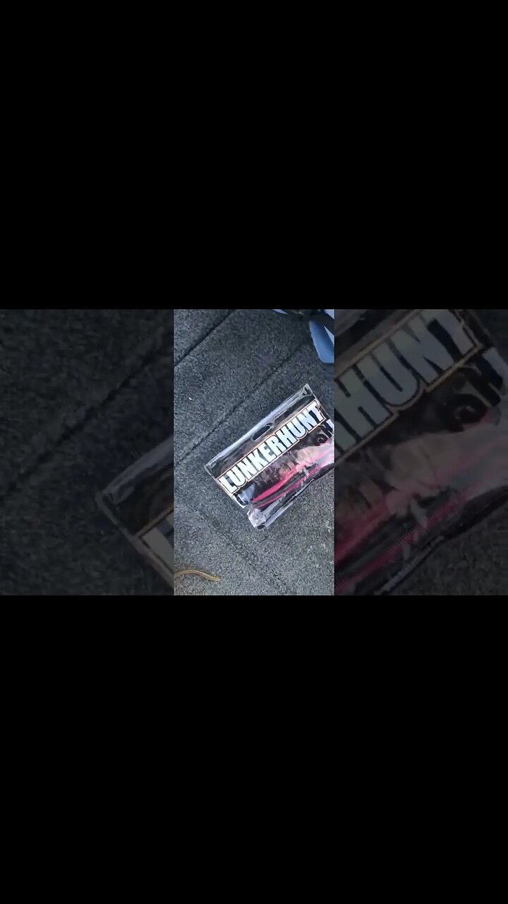 Lunkerhunt for the big one #getreel #bassfishing #catchingfish # ...