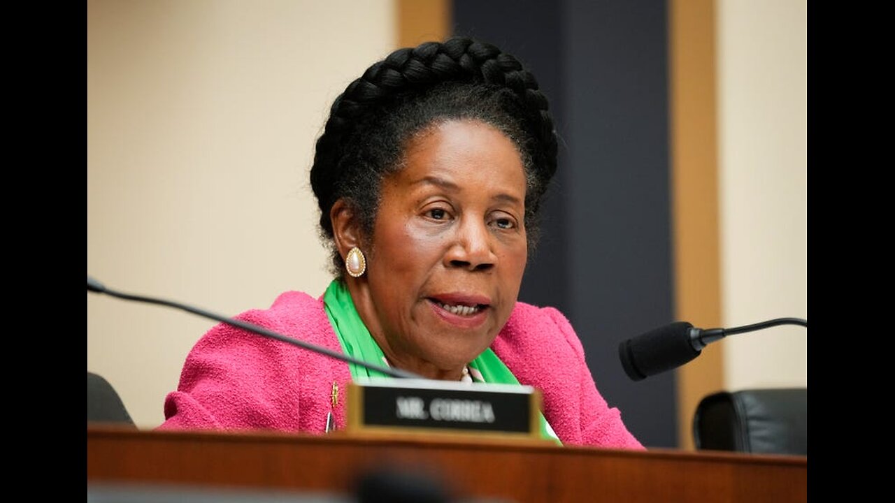 Remembering Sheila Jackson Lee: A Legacy of Advocacy