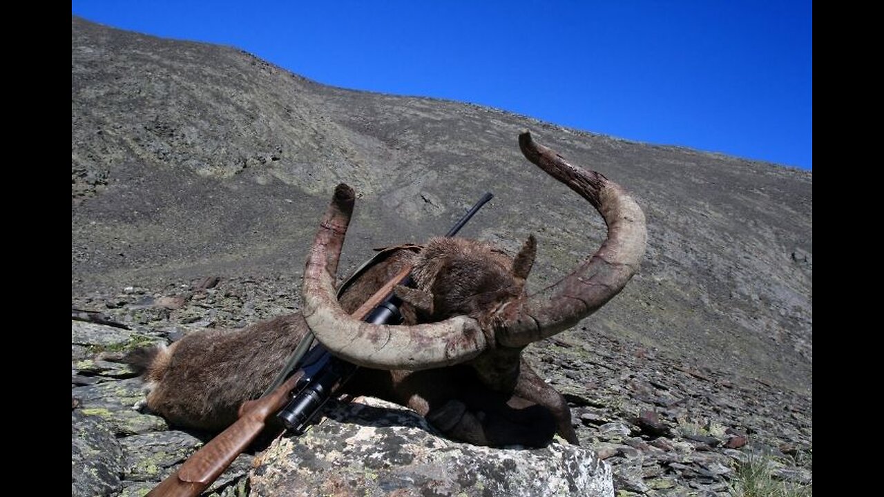 6 Easy Facts About "Hunting and Conservation: How Hunters are ...