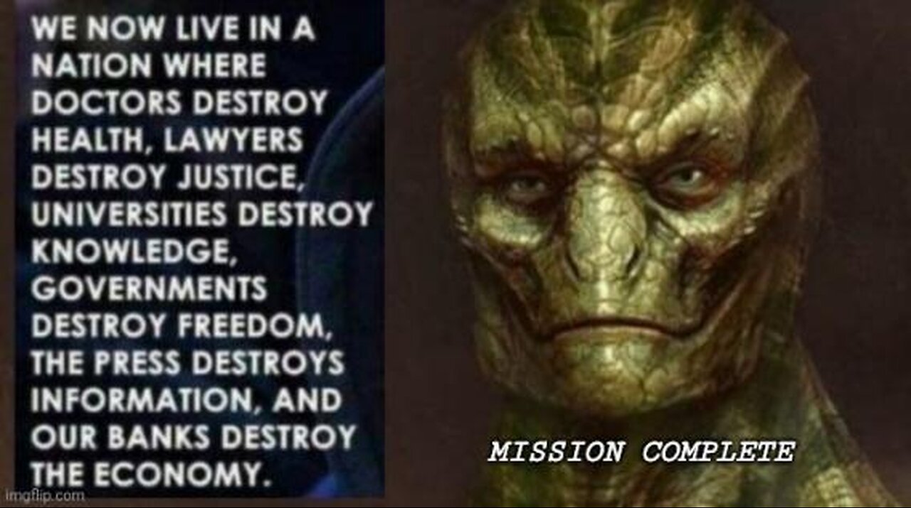 'HOLY F*CK!' Elon Musk & Joe Rogan Tag-Team MSNBC For Saying Being ...