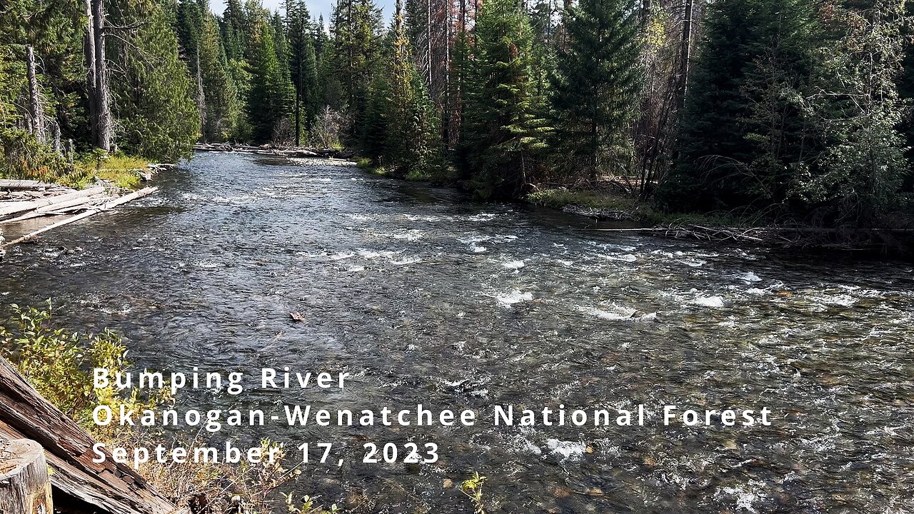 Beautiful Bumping River is SQUIRREL APPROVED, TWO CLAWS UP! | 4K ...