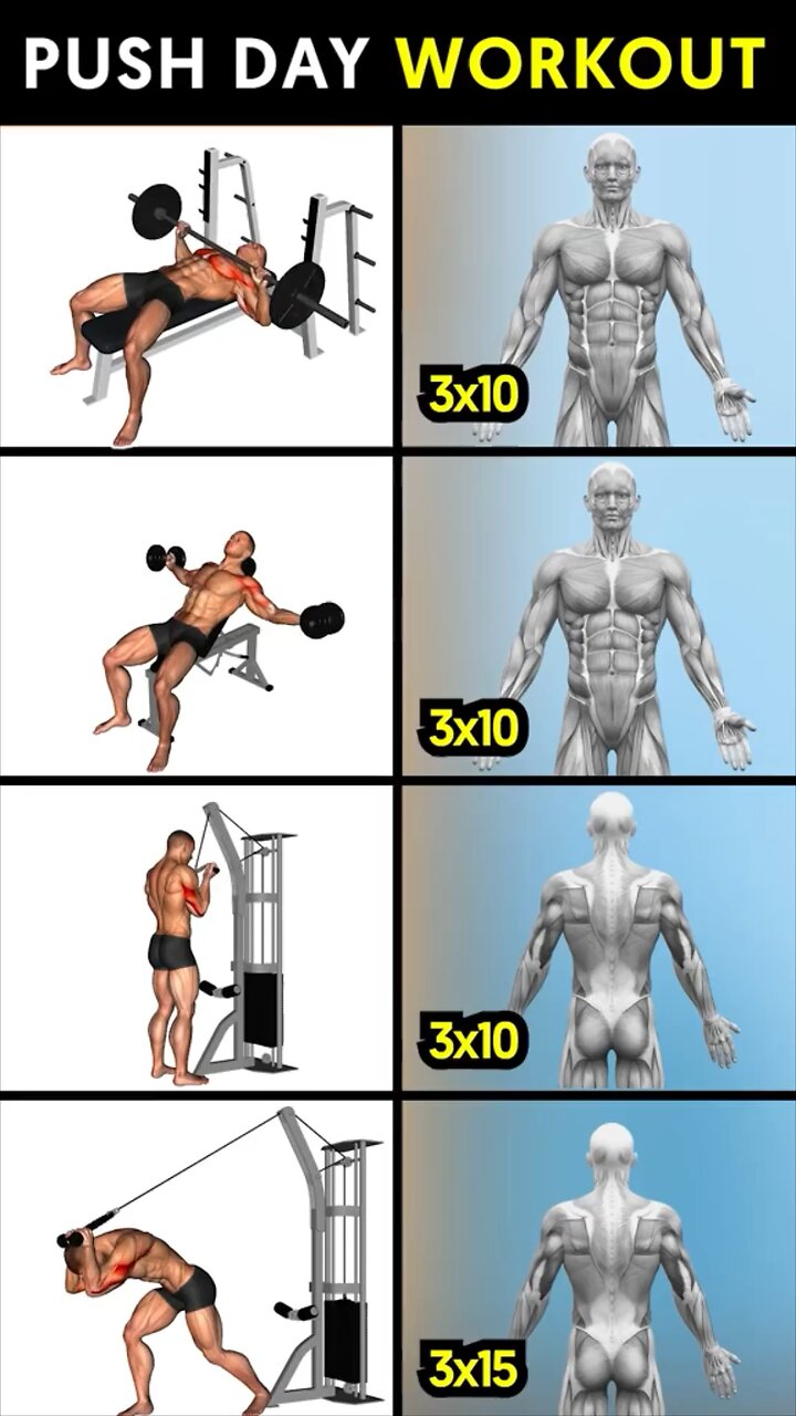 Push Day Gym Workout