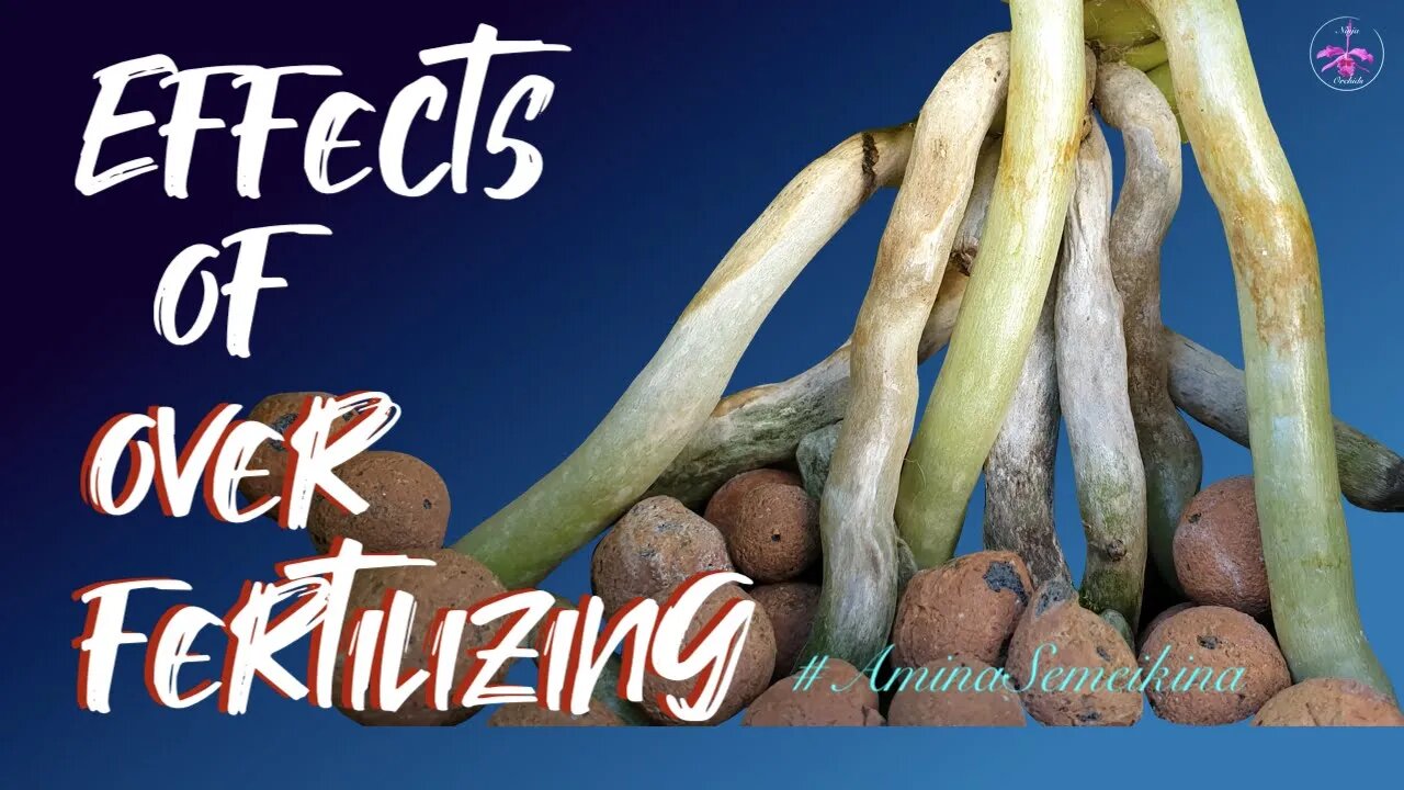 Trouble shooting OVER FERTILIZING | Signs | Symptoms | Prevention ...