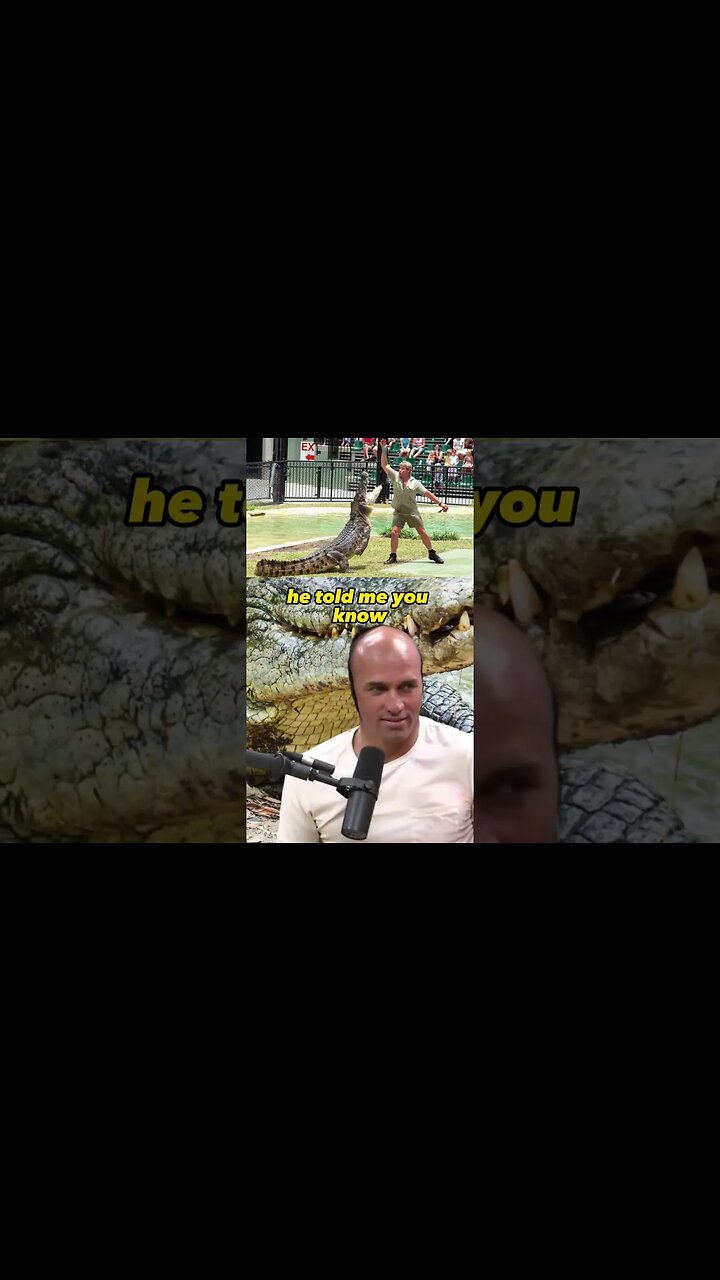 Joe Rogan's reacting to crocodile and Kelly Slater sharing his story ...