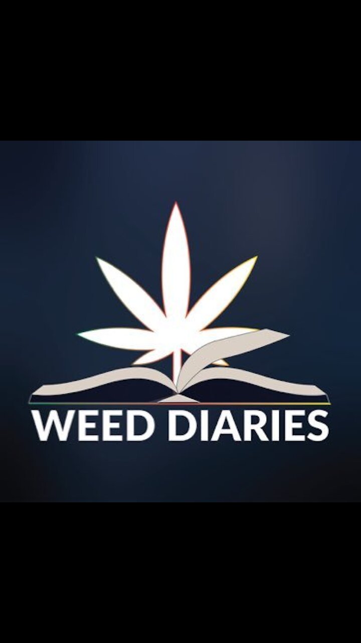 2020 Weed Diary - Day 2 - Sprout to Jiffy Pellet Transplant Demonstration