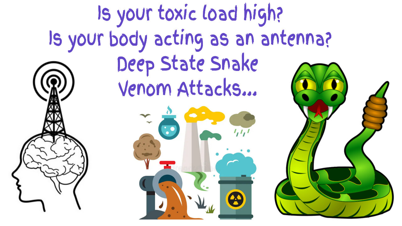High Toxic Load, Body Antenna and Deep State Snake Venom Attacks with ...
