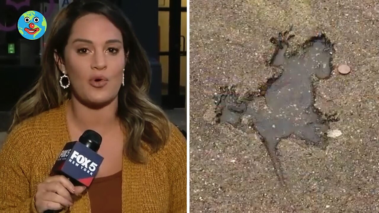 I see no problem here 🥴