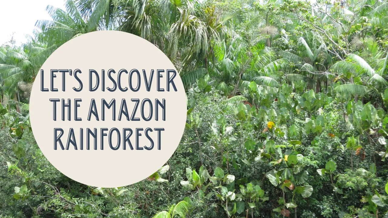 Exploring the Wonders and Threats of the Amazon Rainforest: A Journey ...