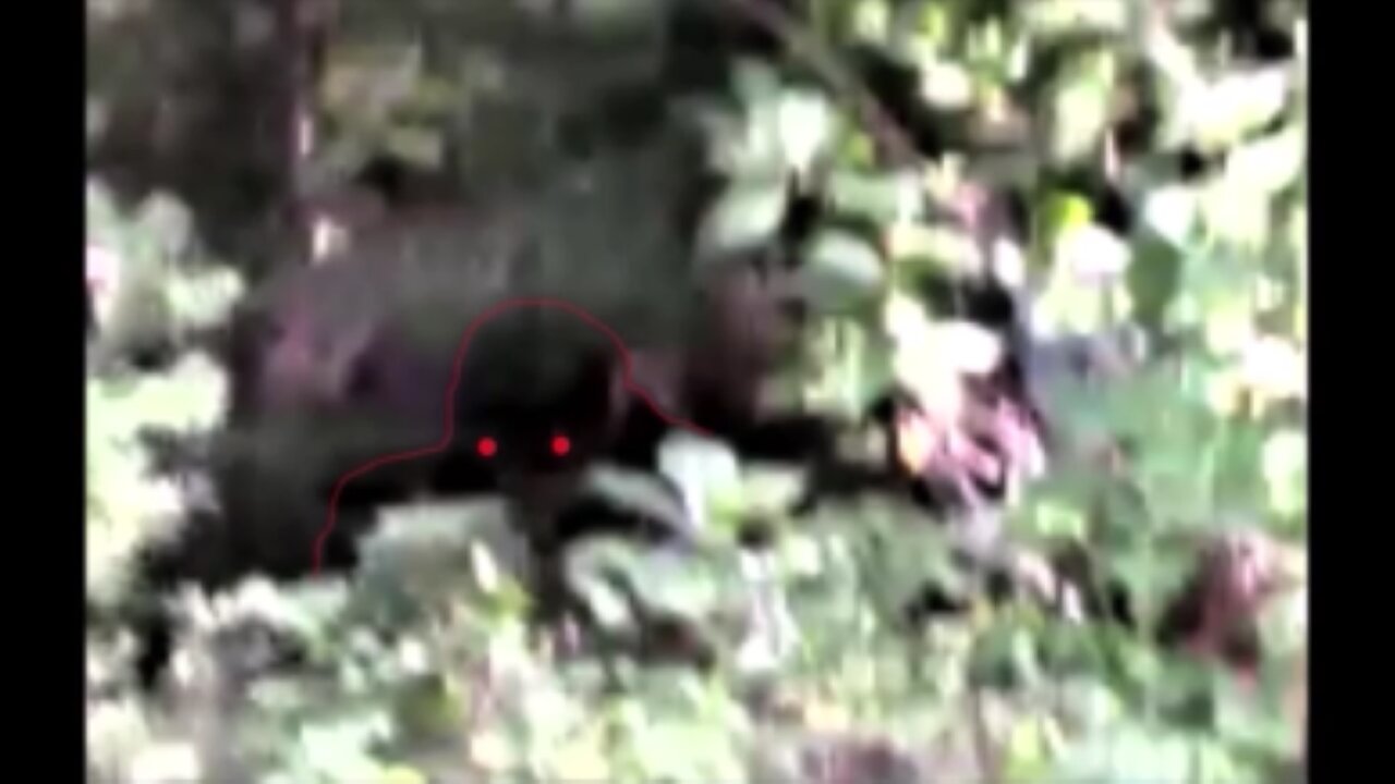 World Bigfoot Radio #149 ~ Bigfoot Clan & Portal caught on video ...
