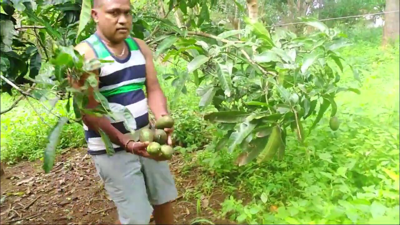 Let's break the mango [karaththa kolomban]