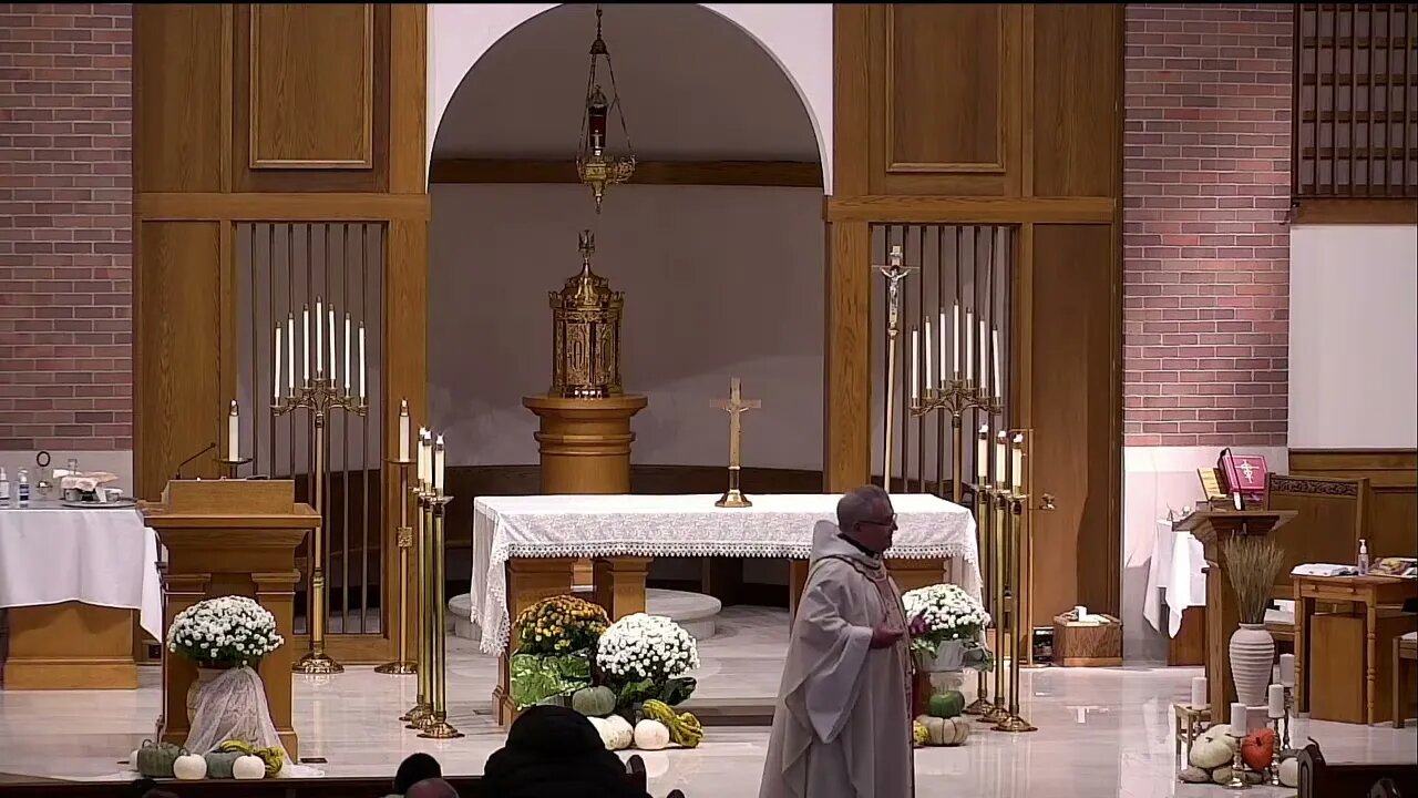 Gospel, Homily, Intercessions - Dedication of the Basilicas of St ...