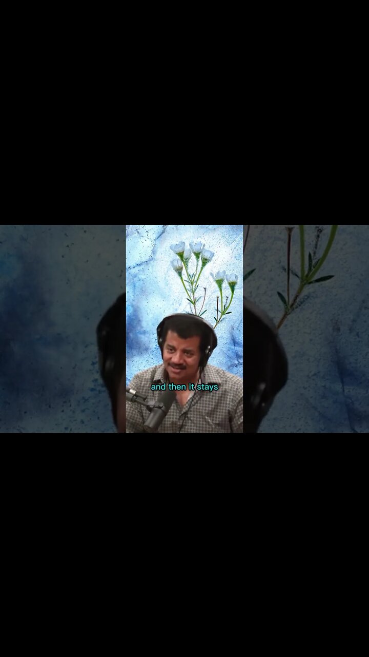 What is an Ice Age? Neil Degrasse Tyson and Joe Rogan #shorts