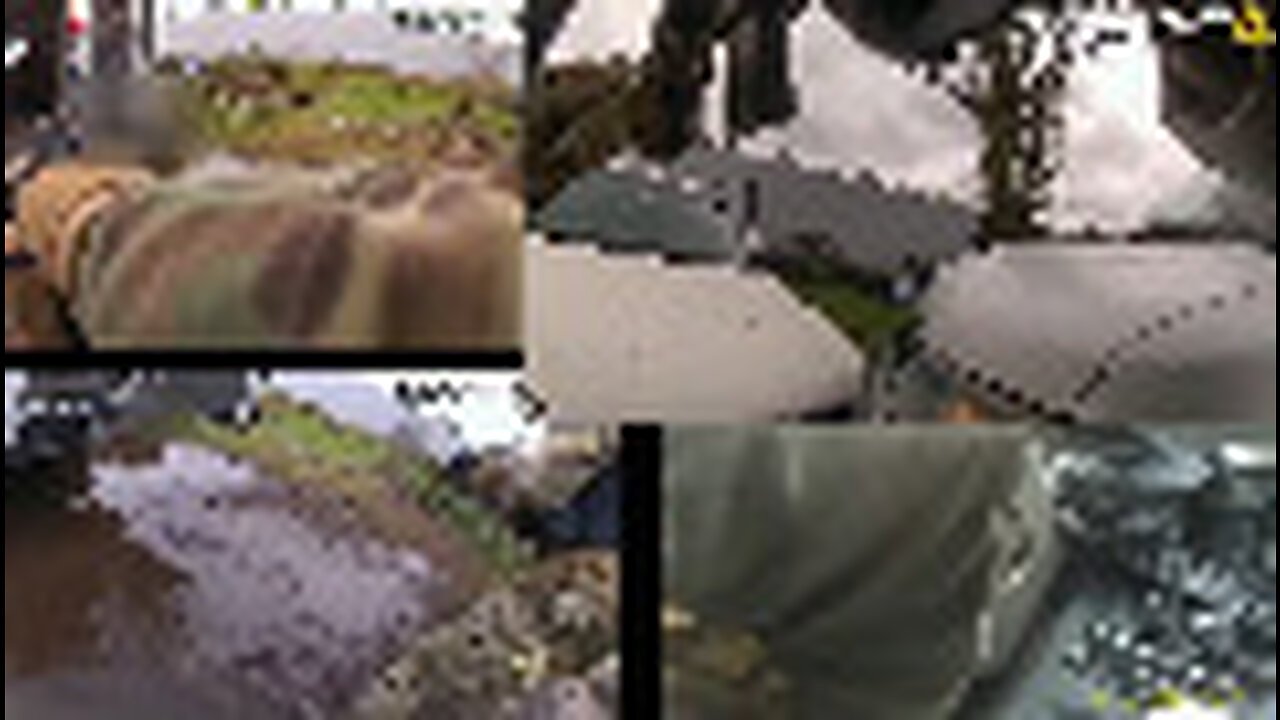 Body-cam footage shows chaos of SWAT arrest ending in deaths of Pierce ...