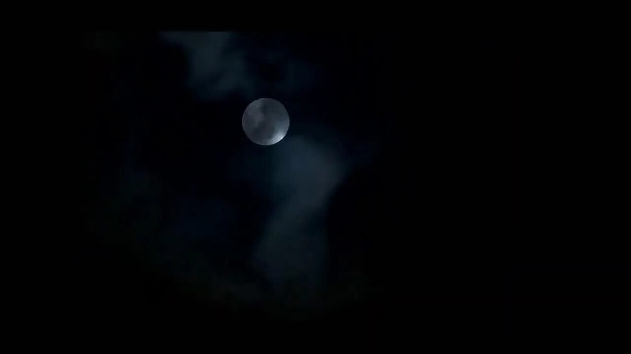 The Dark side of science - The Horror of the Ape and Child Experiment ...