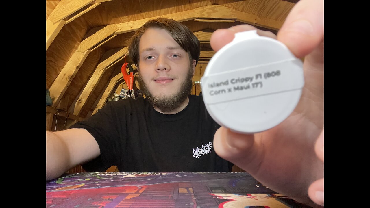 Reviewing DankMasters Island Crippy FL(808 Corn X Maui 17) Strain ...