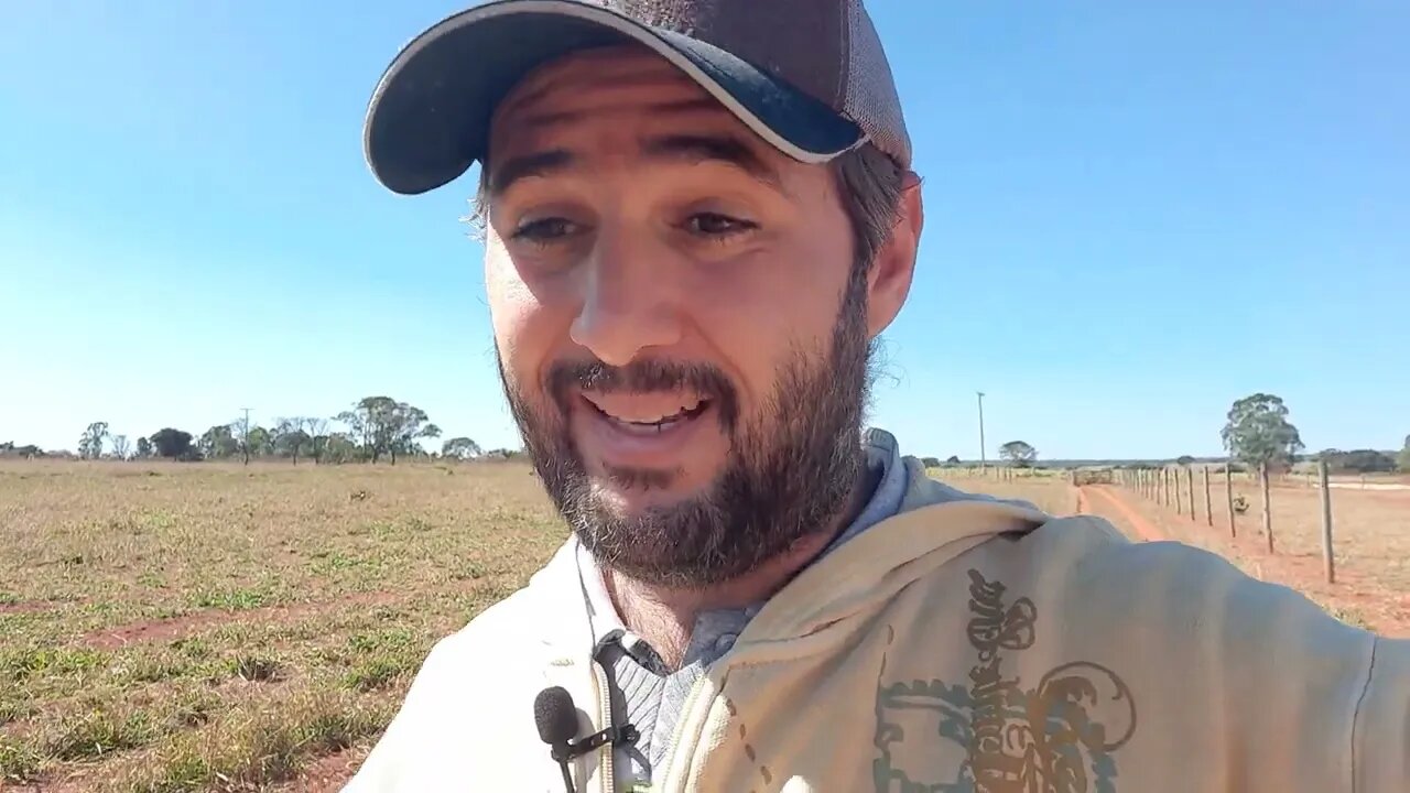 #periciajudicial: O Perito é competente para determinar prematuridade ...