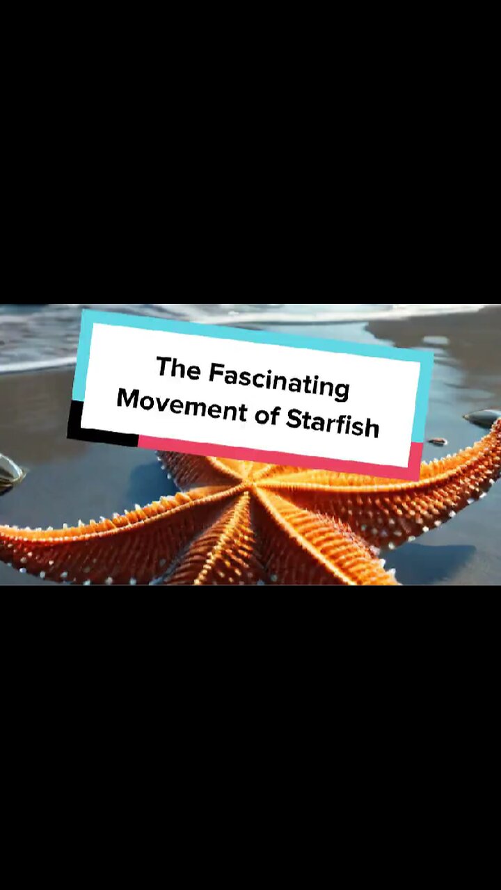 The Fascinating Movement of Starfish