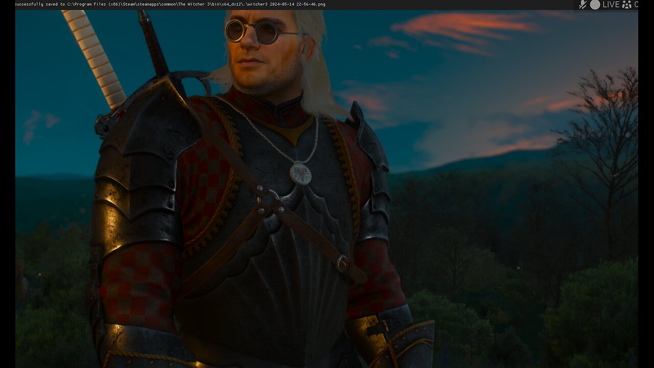 The Witcher 3 Next Gen Upgrade Gameplay Walkthrough Part 78