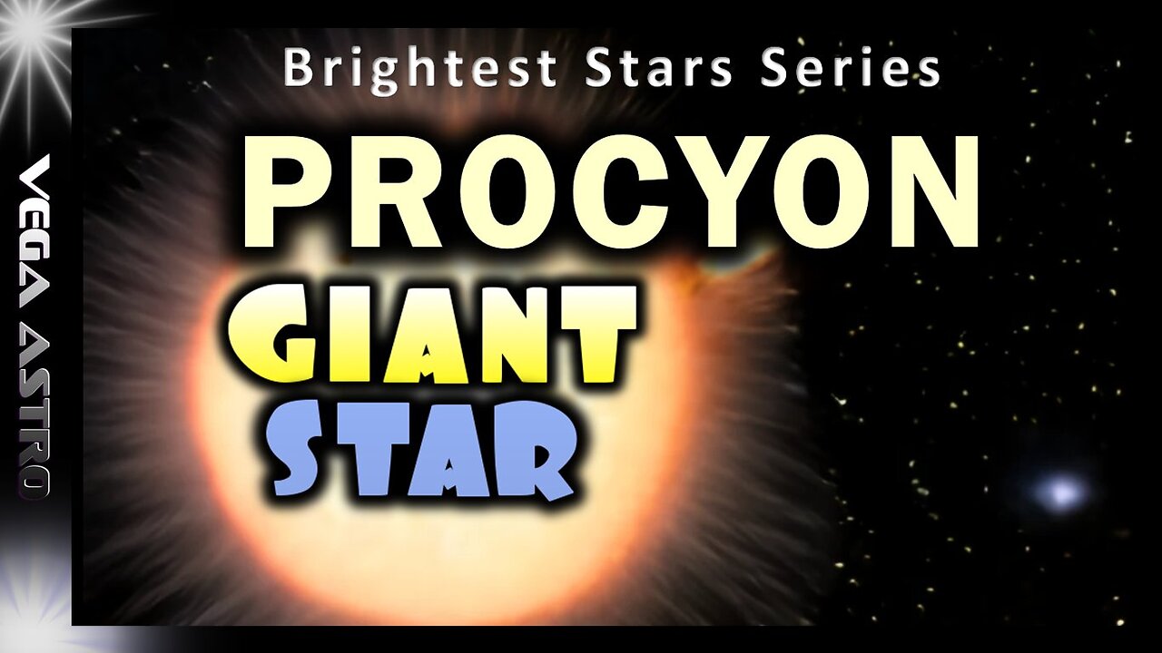 ⭐An In-Depth Look at PROCYON a&b⭐