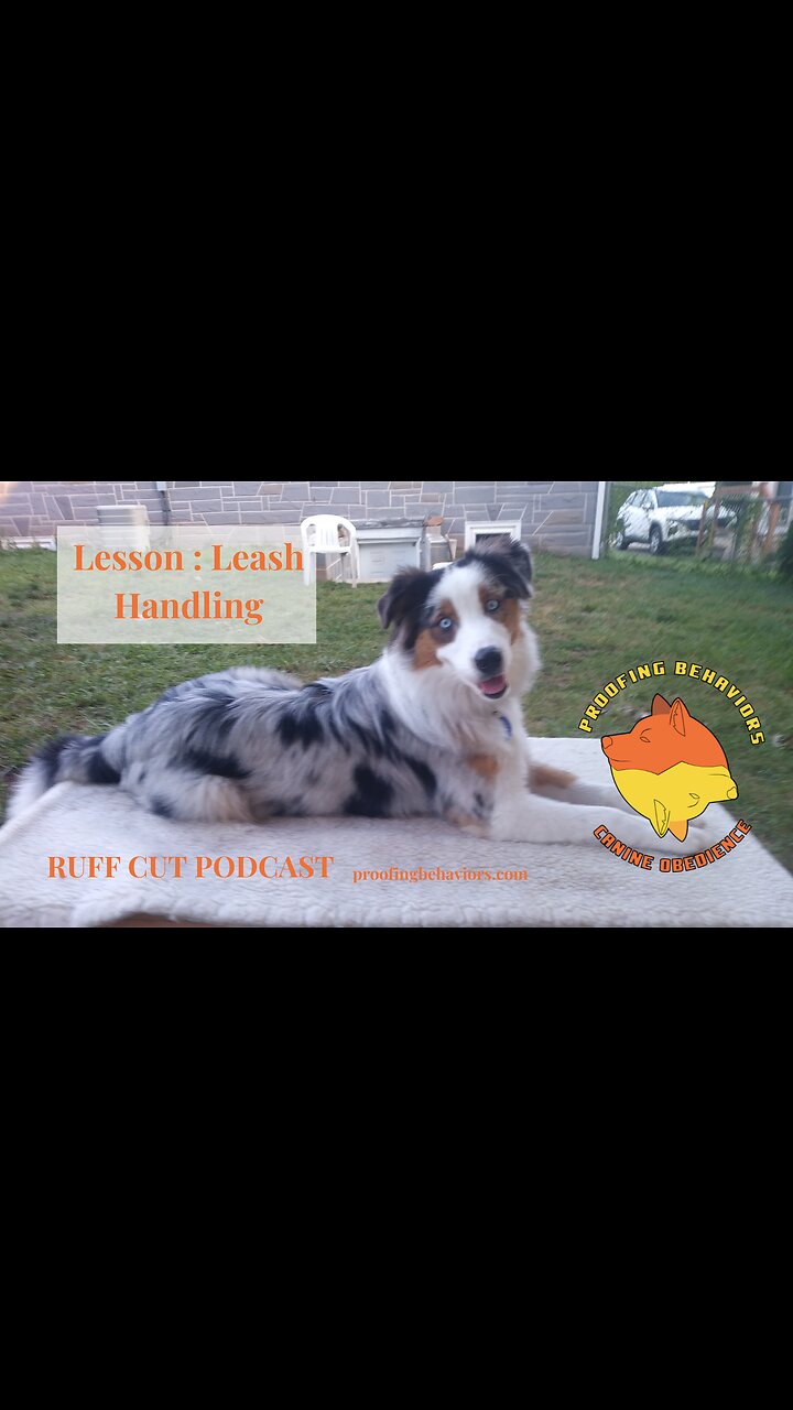 Ruff Cut PodCast Leash Handling part 2