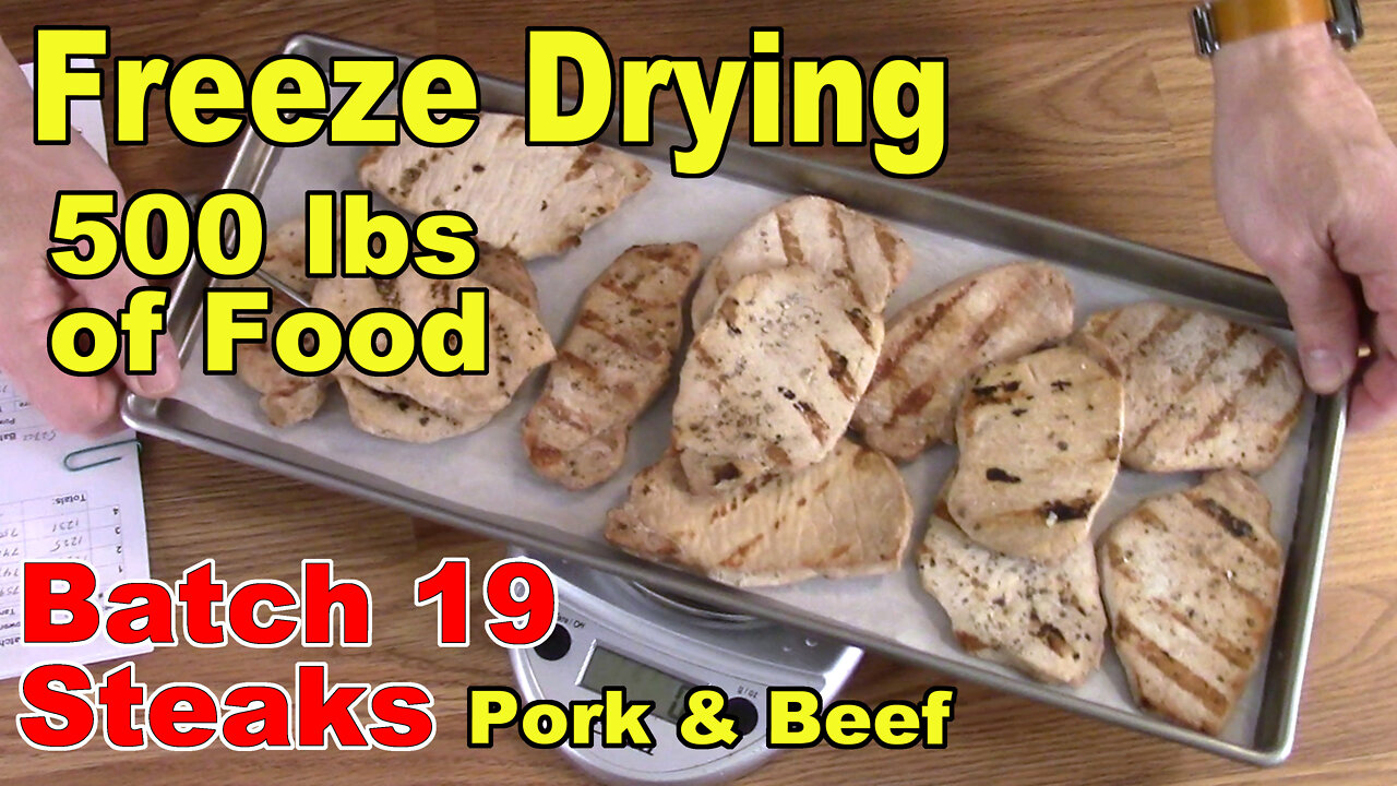 Freeze Drying Your First 500 lbs of Food - Batch 19 - Steak (Pork Loin ...