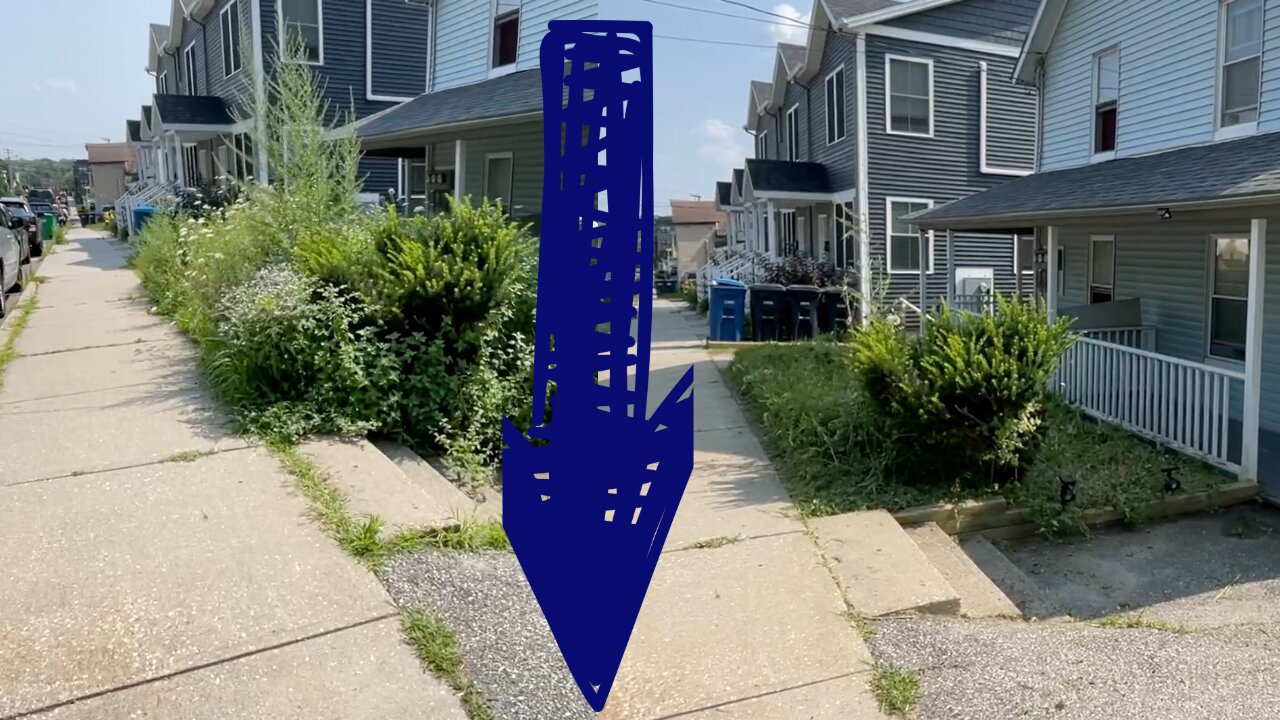 Epic Lawn Transformation: Timelapse of Mowing, Weed Whacking ...