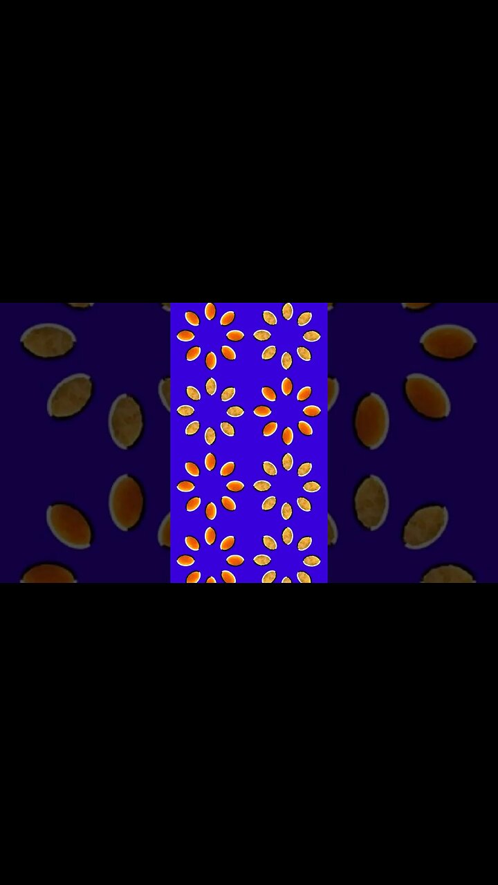 Spinning seeds Optical Illusion