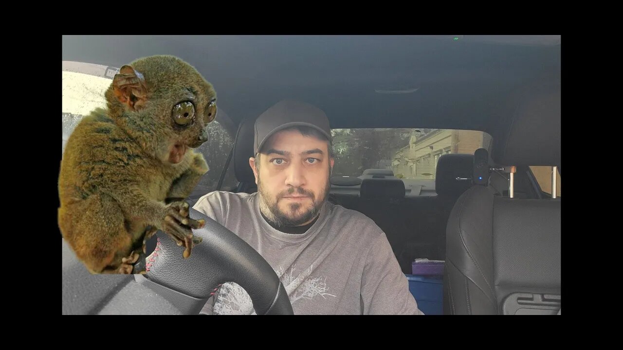 Funky Bizz Is Going On !!! 💪😎🤌 #IRL #Subie #WRX #STI #DoorDash 🚘 !!! # ...