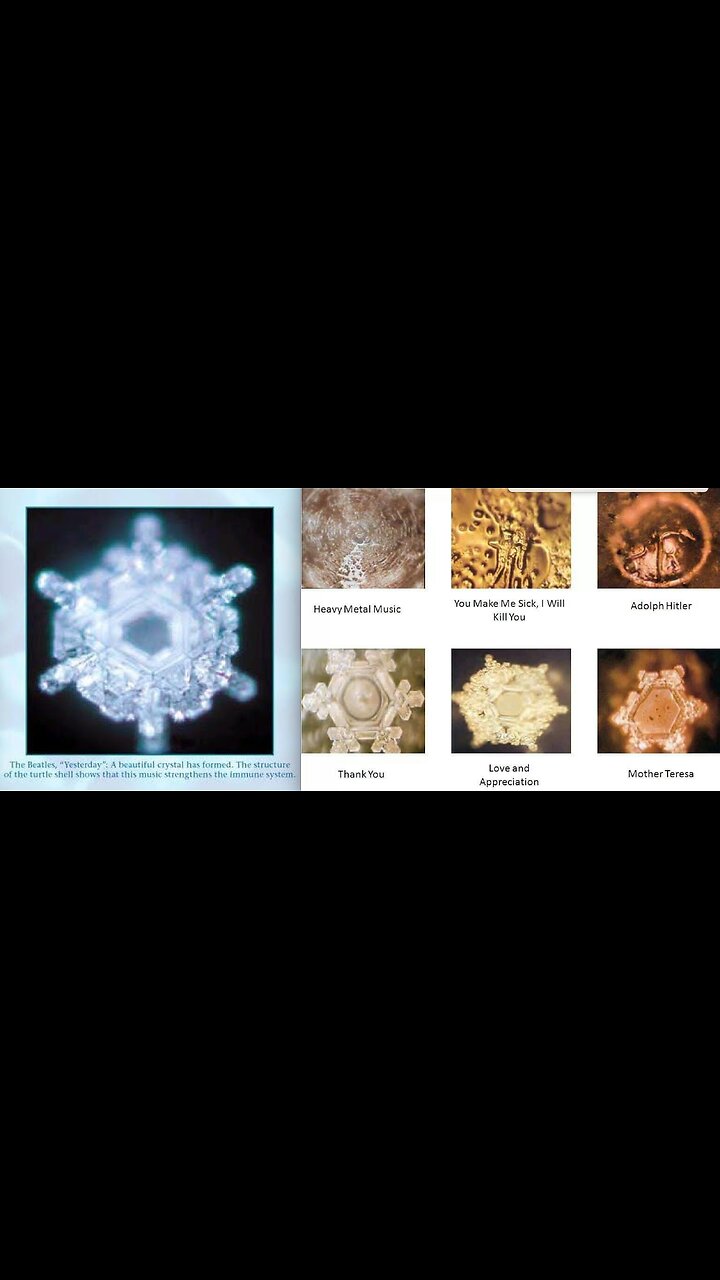 🔵💦 ️ Dr. Emoto's Water Experiments ️ Proving Positive Energy vs ...