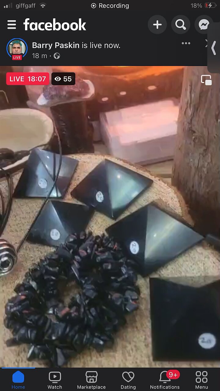 Barry Paskin : carbons stone