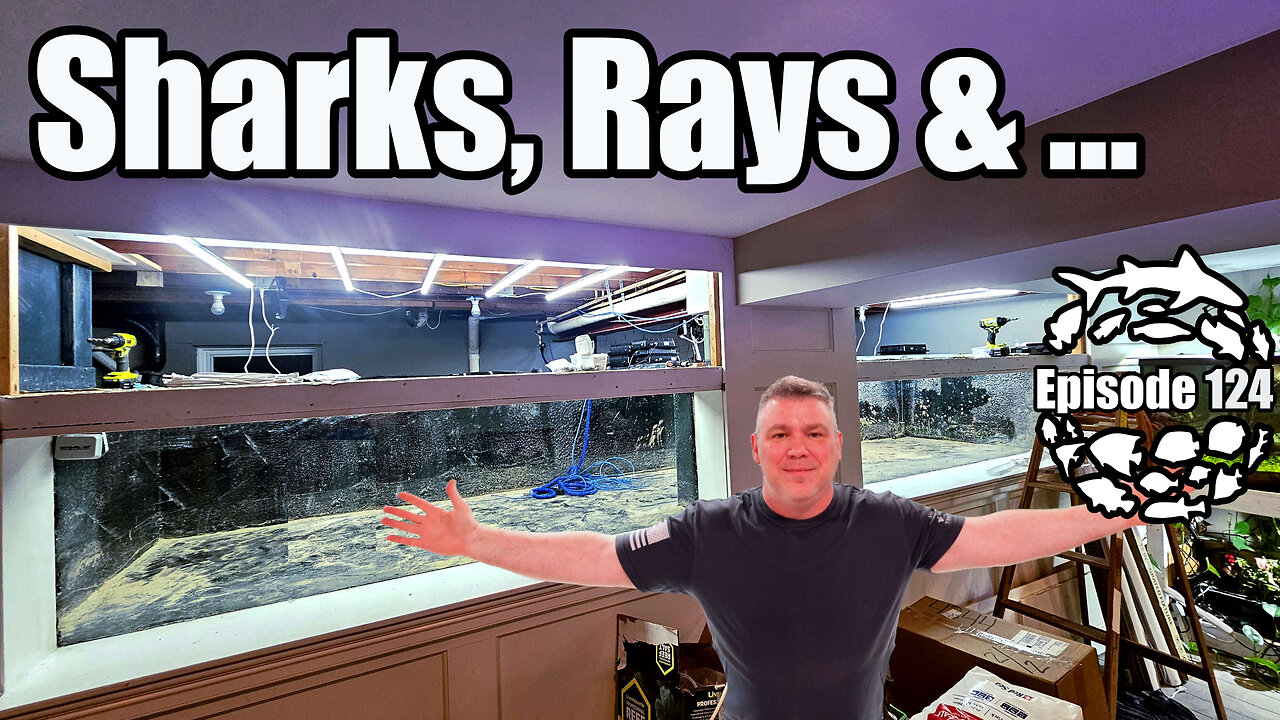 Predator Bay 3000 & Mangrove Estuary Mega Project Progress and Much ...