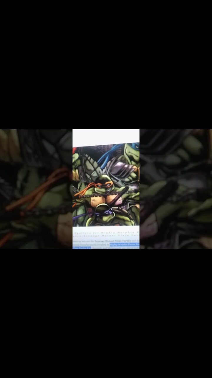 The Teenage Mutant Ninja Turtles Are Black?