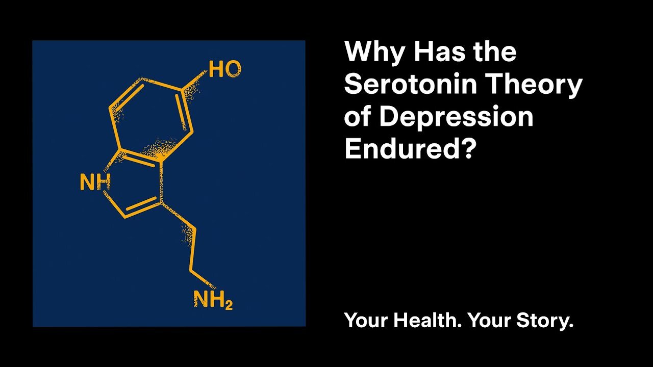 Why Has the Serotonin Theory of Depression Endured? Why Has the Serotonin Theory of Depression Endured?