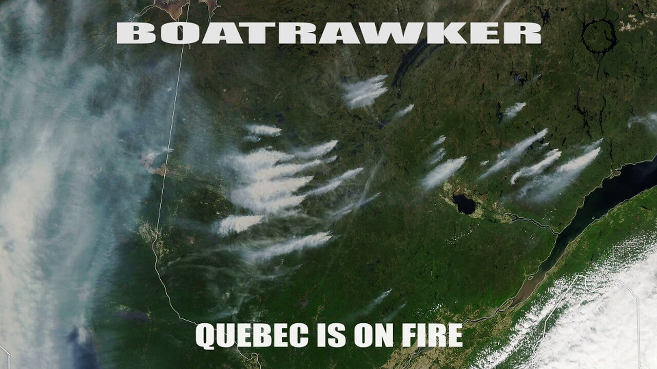 Quebec is on Fire by The Kings of Peons